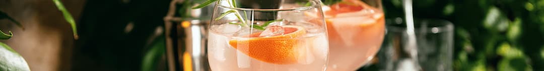 Gin - Buy Online or In-Store | Applejack Wine & Spirits